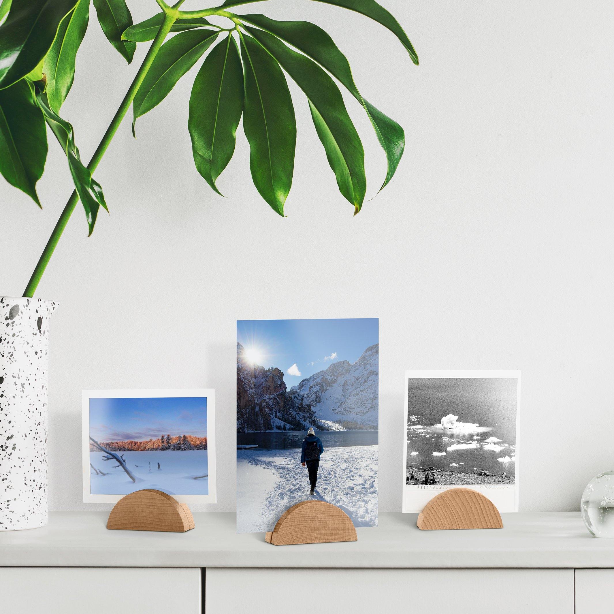 Taco Stand | Compact Desktop Display Stand | Well Made